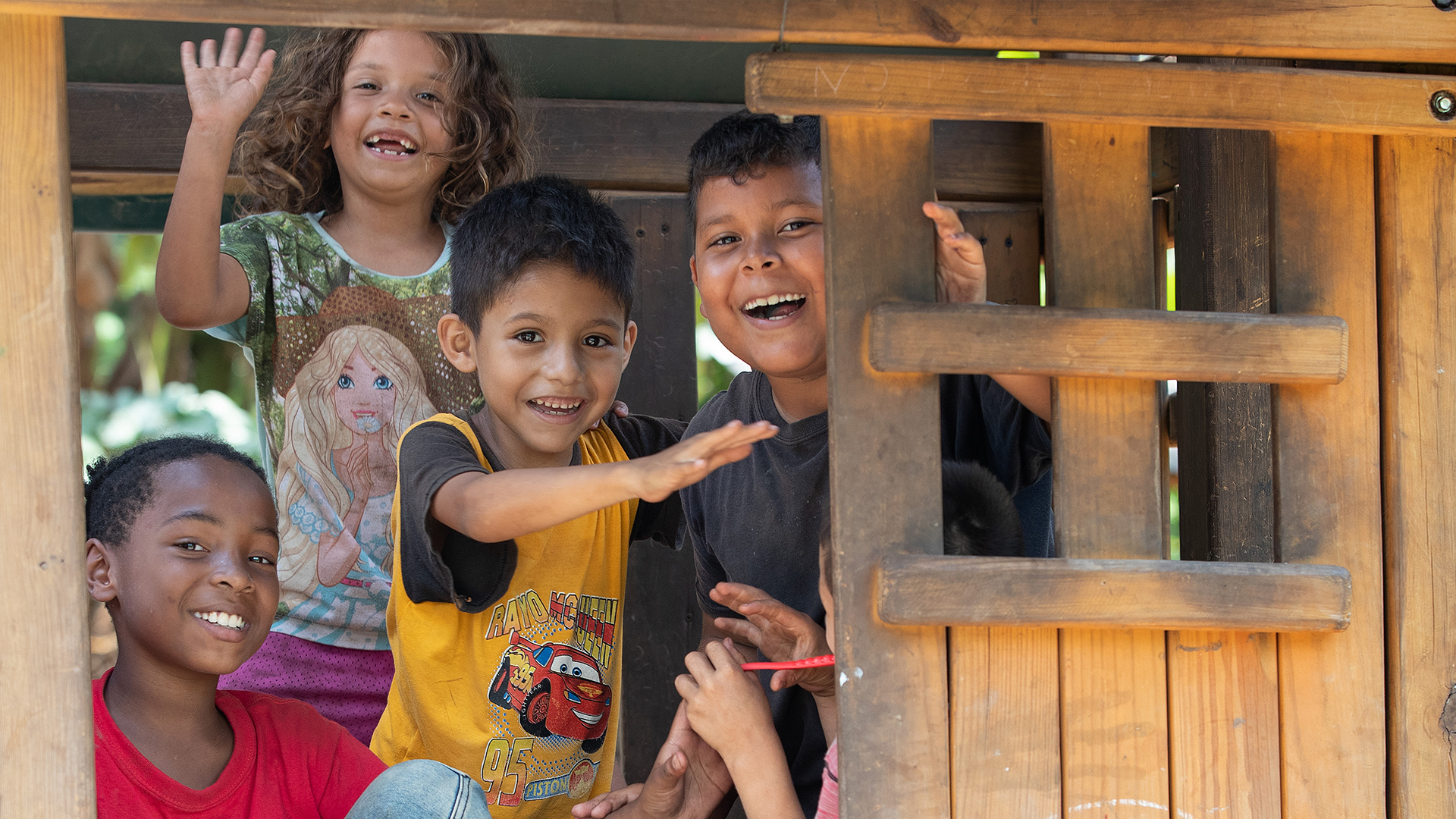 Donation: D# 2025-11-03 35620